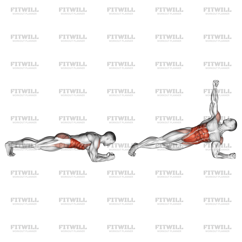 Plancha Frontal Con Giro: Guía de Ejercicios, Video, Técnicas ...
