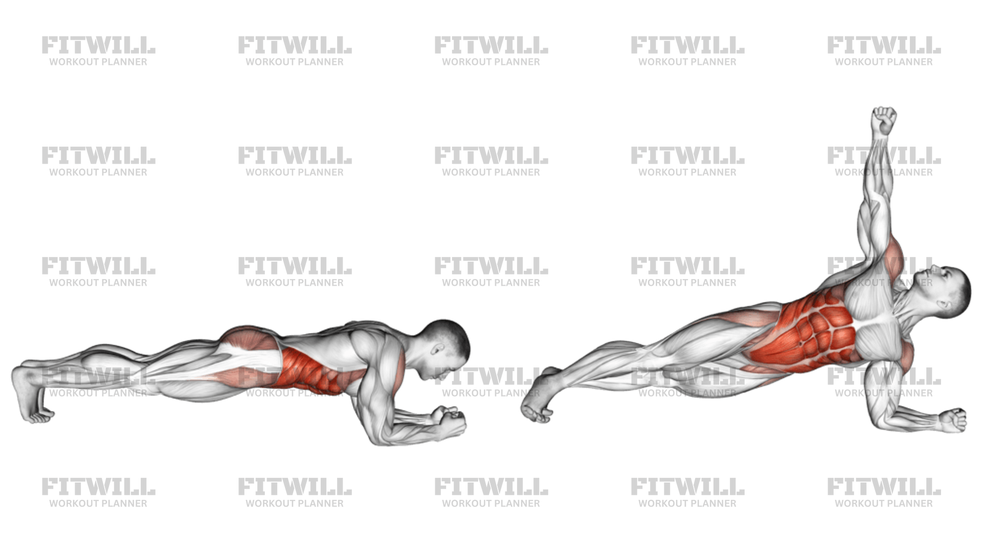 Plancha Frontal Con Giro: Guía de Ejercicios, Video, Técnicas ...