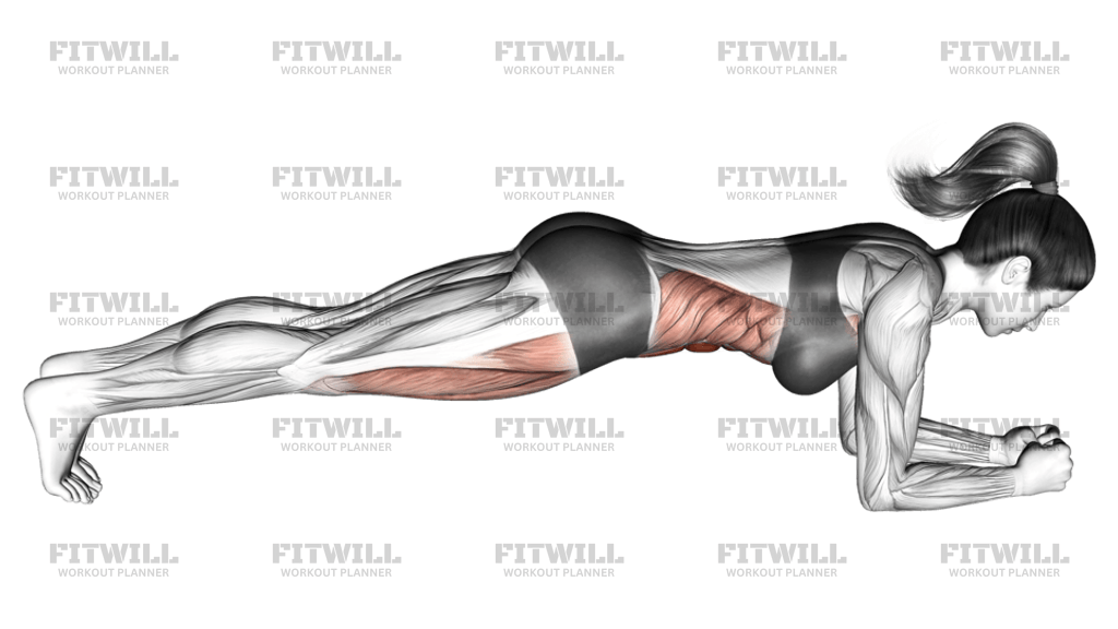 Front Plank: Exercise Guide, Video, Techniques, Benefits, How to ...