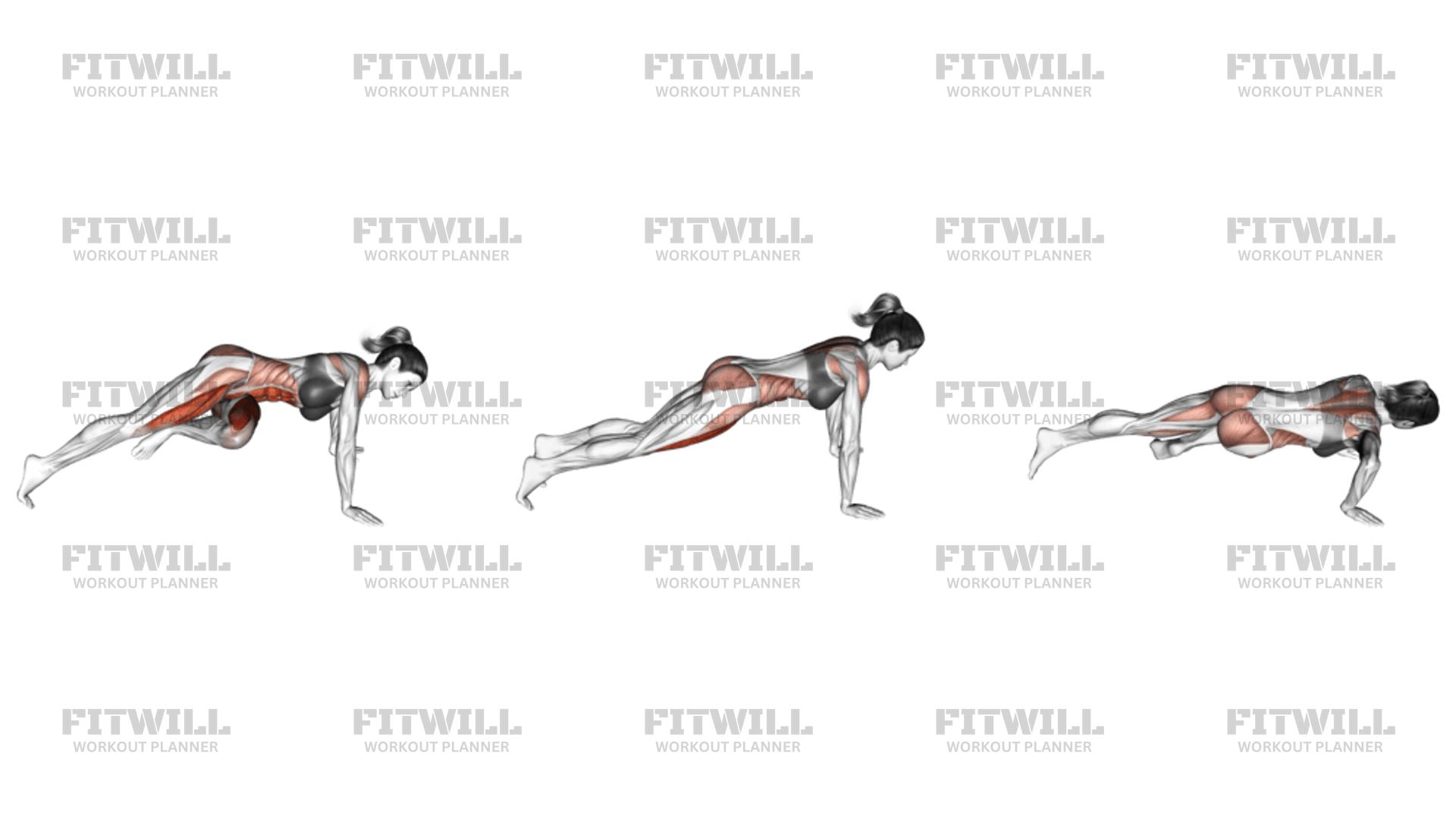Grasshopper Push Up Exercise Guide Video Techniques Benefits How