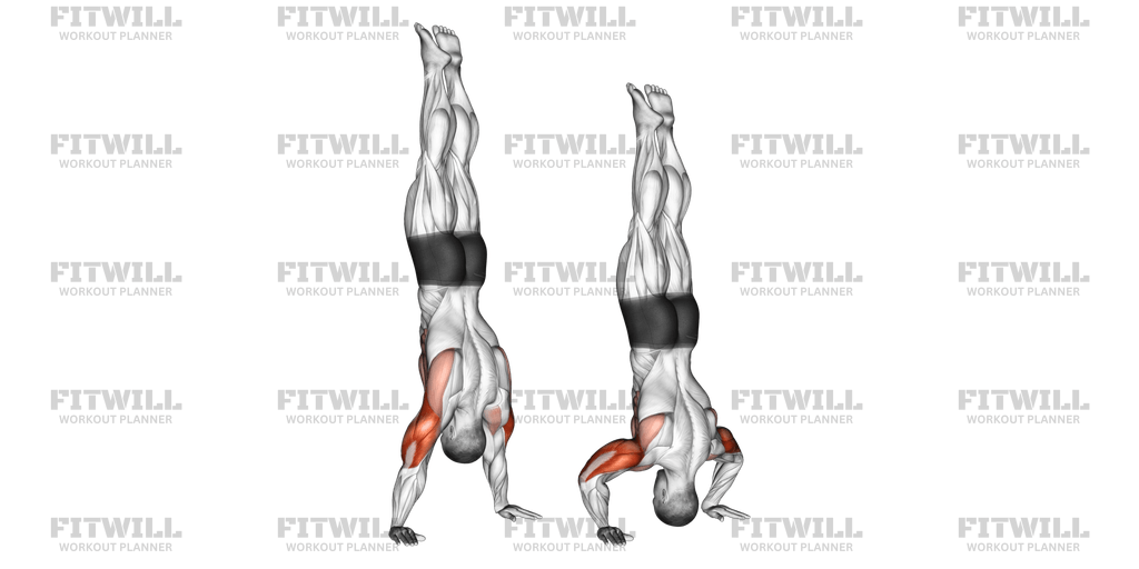 Handstand Push-up: Exercise Guide, Video, Techniques, Benefits, How to ...