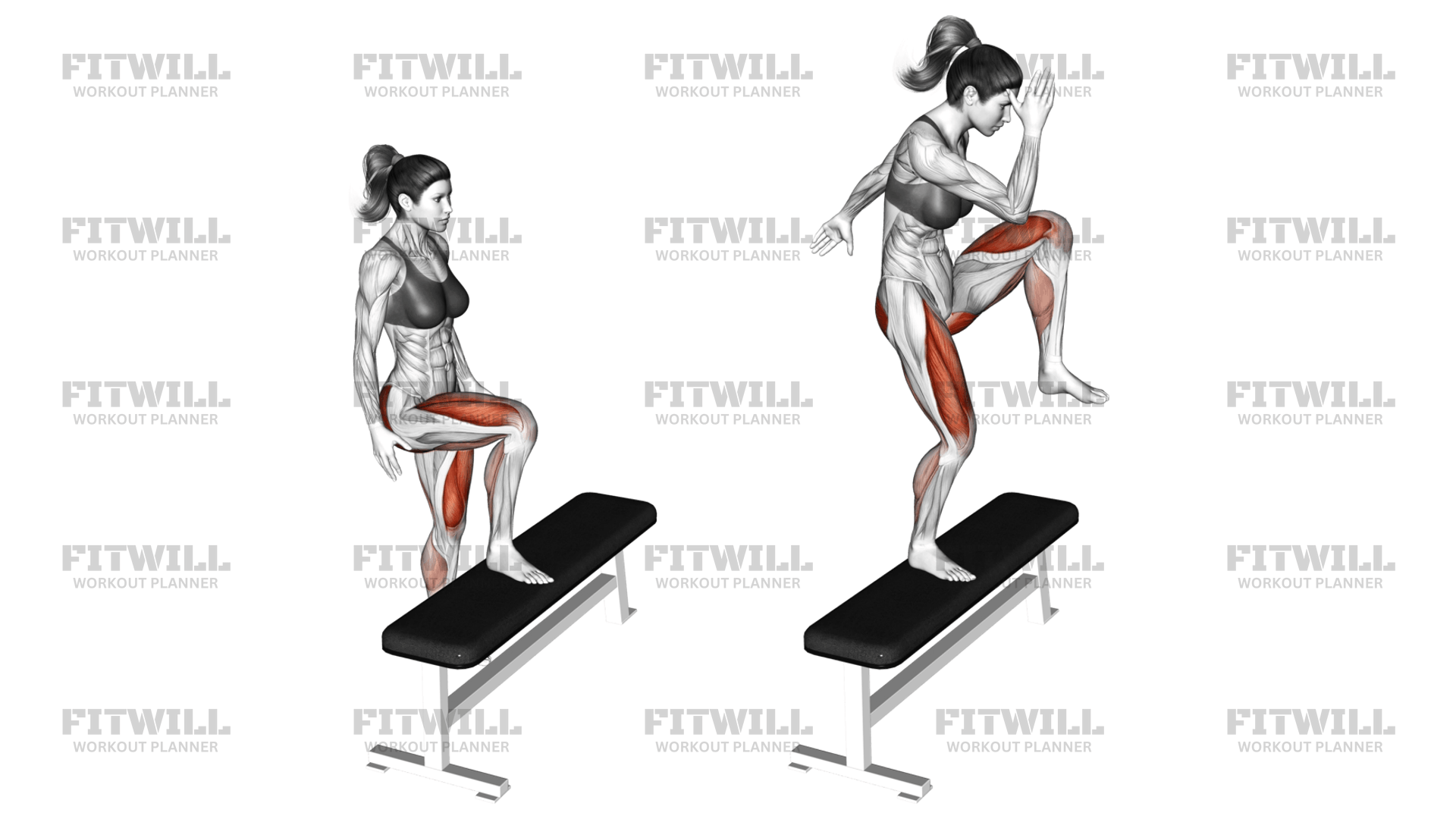 High Knee Step-up: Exercise Guide, Techniques, Benefits, How to ...