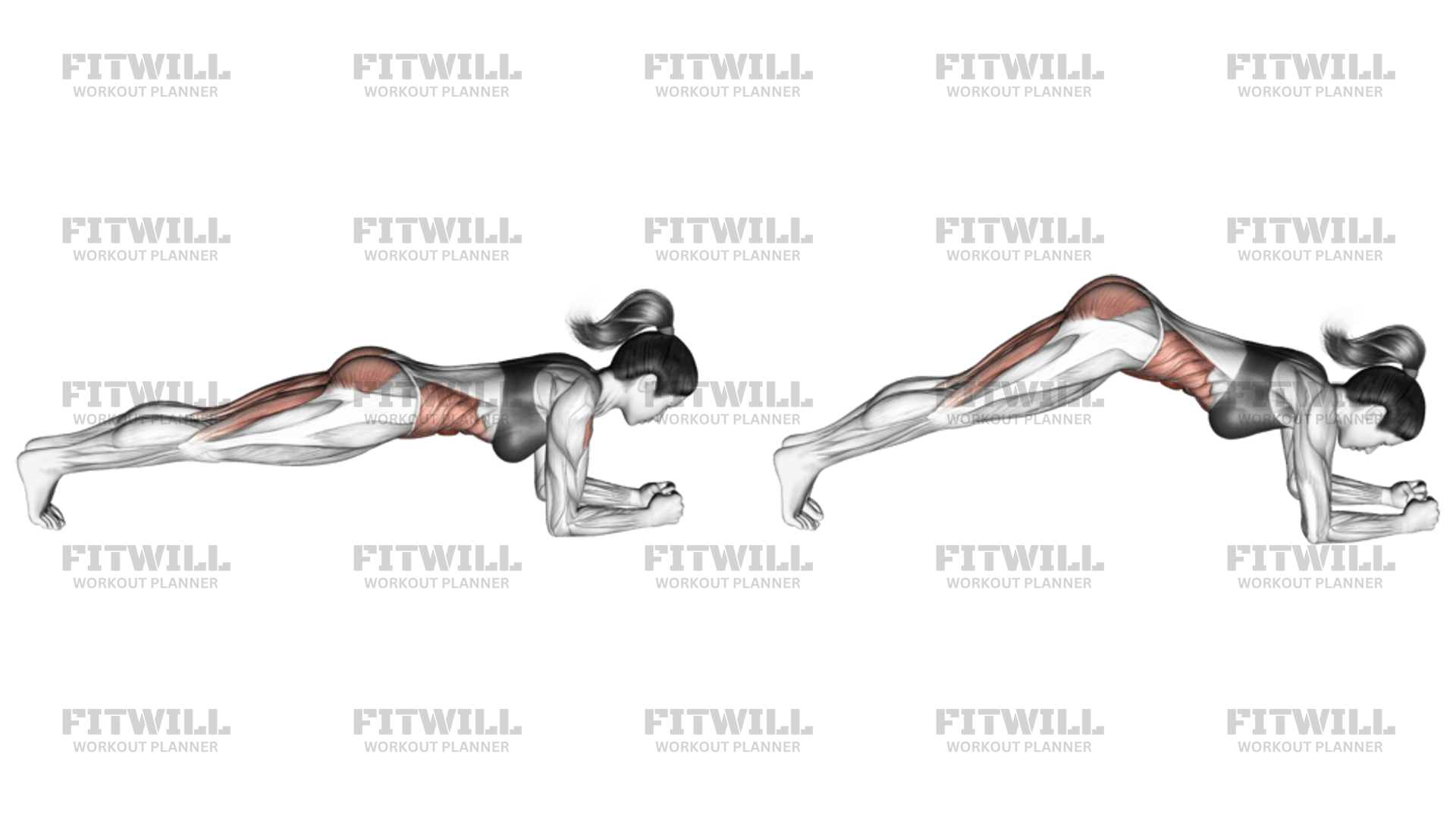 Hip Raise Bridge (version 2): Exercise Guide, Techniques, Benefits, How ...