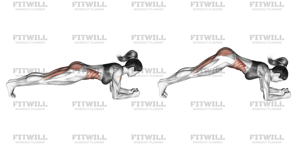 Hip Raise Bridge (version 2): Exercise Guide, Techniques, Benefits, How ...