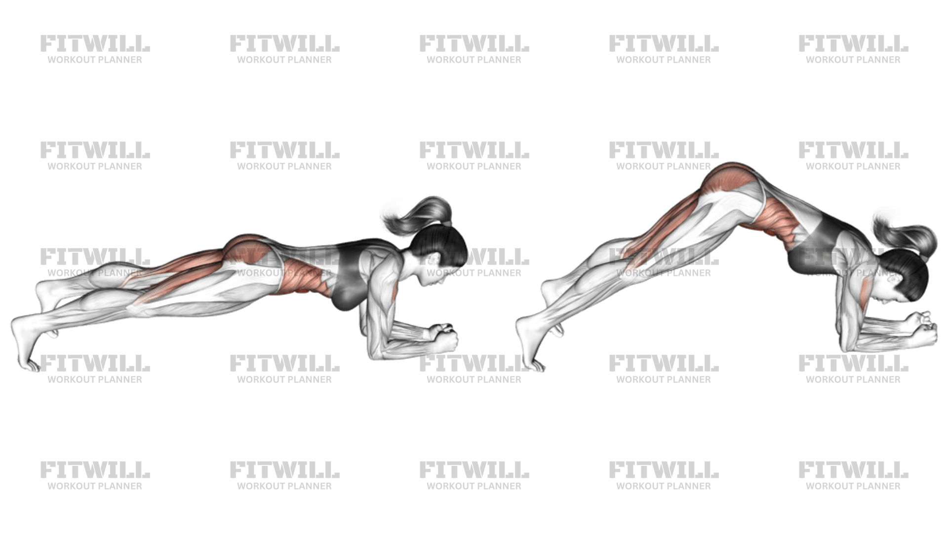 Hip Raise Bridge: Exercise Guide, Video, Techniques, Benefits, How to ...