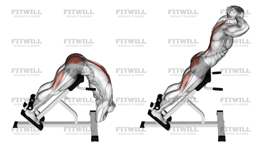 Hyperextension: Exercise Guide, Video, Techniques, Benefits, How to ...