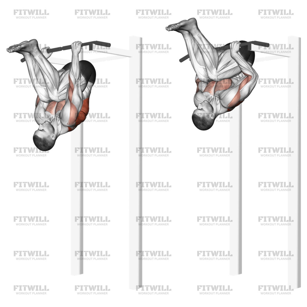 Inverted Row (version 2): Exercise Guide, Techniques, Benefits, How to, Muscles Worked, Tips ...