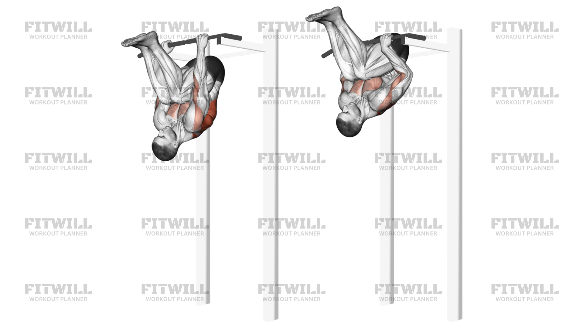 Inverted Row (version 2): Exercise Guide, Techniques, Benefits, How to ...