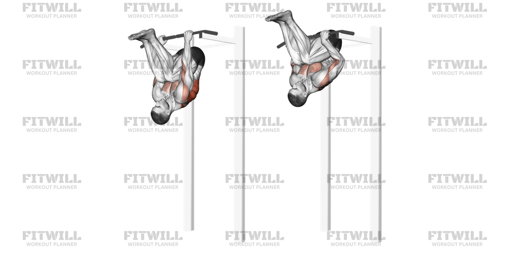 Inverted Row (version 2): Exercise Guide, Techniques, Benefits, How to ...