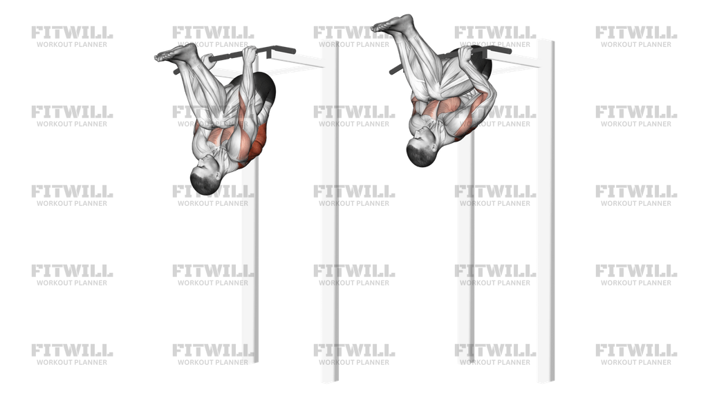 Remada Invertida (versão 2): Guia de Exercícios, Técnicas, Benefícios ...