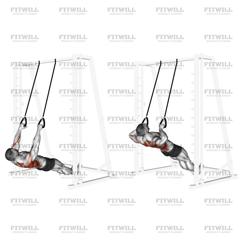 Inverted Row With Straps: Exercise Guide, Video, Techniques, Benefits ...