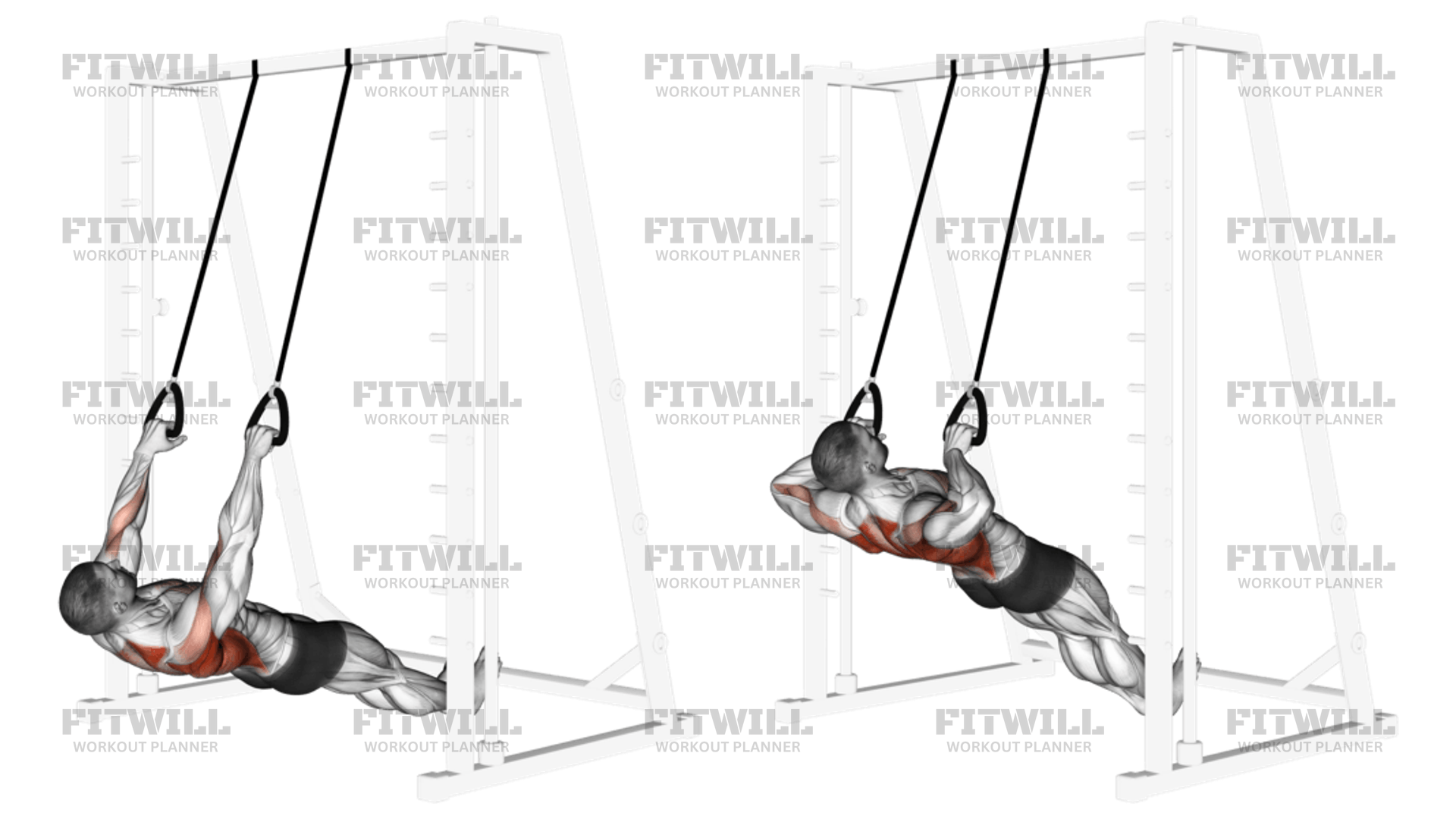 Inverted Row With Straps: Exercise Guide, Video, Techniques, Benefits ...