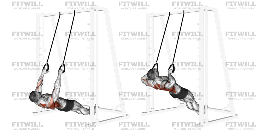 Inverted Row With Straps: Exercise Guide, Video, Techniques, Benefits ...
