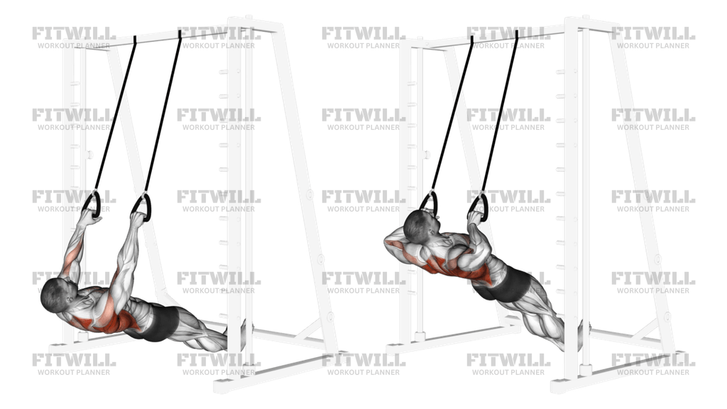 Inverted Row With Straps: Exercise Guide, Video, Techniques, Benefits ...