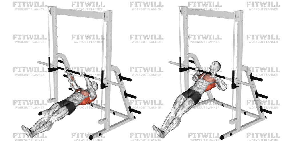 Inverted Row: Exercise Guide, Video, Techniques, Benefits, How to ...