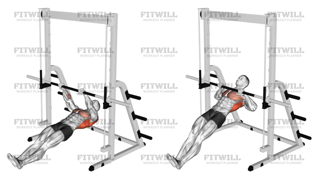 Inverted Row: Exercise Guide, Video, Techniques, Benefits, How to ...