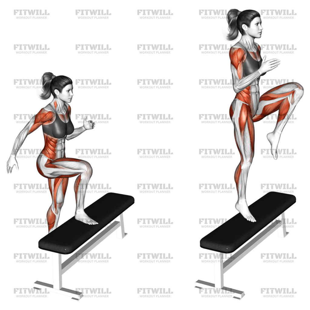 Jump Step-Up: Exercise Guide, Video, Techniques, Benefits, How to ...