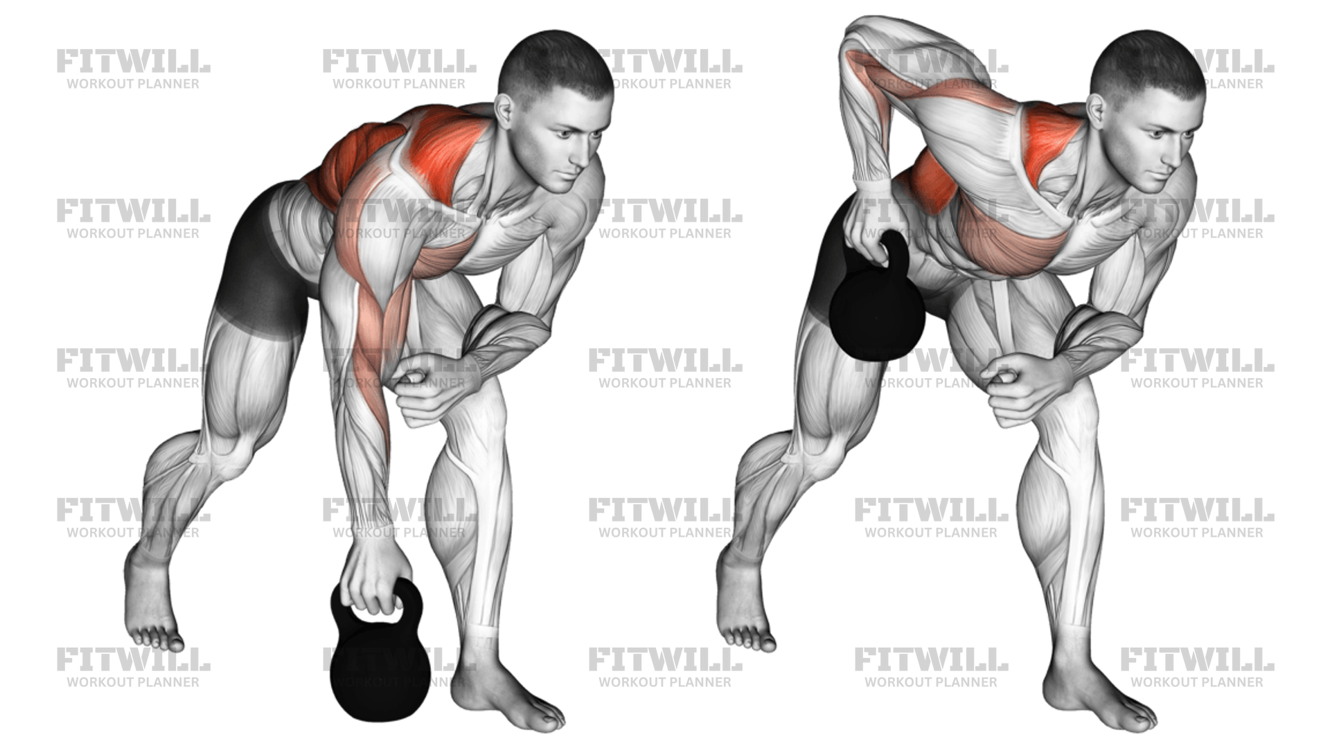 Remada Unilateral Com Kettlebell: Guia de Exercícios, Vídeo, Técnicas ...