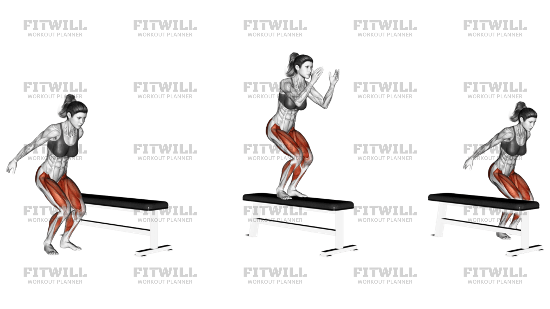 Lateral Box Jump: Exercise Guide, Video, Techniques, Benefits, How to ...