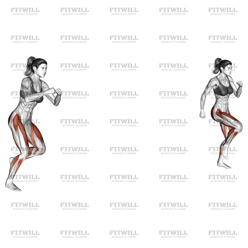 Lateral Speed Step: Exercise Guide, Techniques, Benefits, How to, Muscles Worked, Tips & Tricks ...