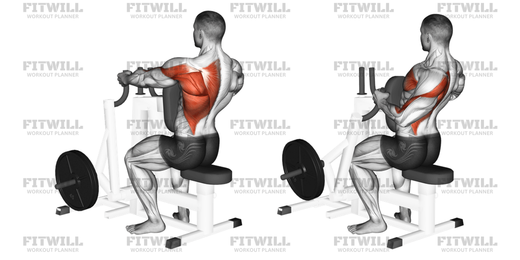 Lever Alternating Narrow Grip Seated Row (plate Loaded): Exercise Guide ...