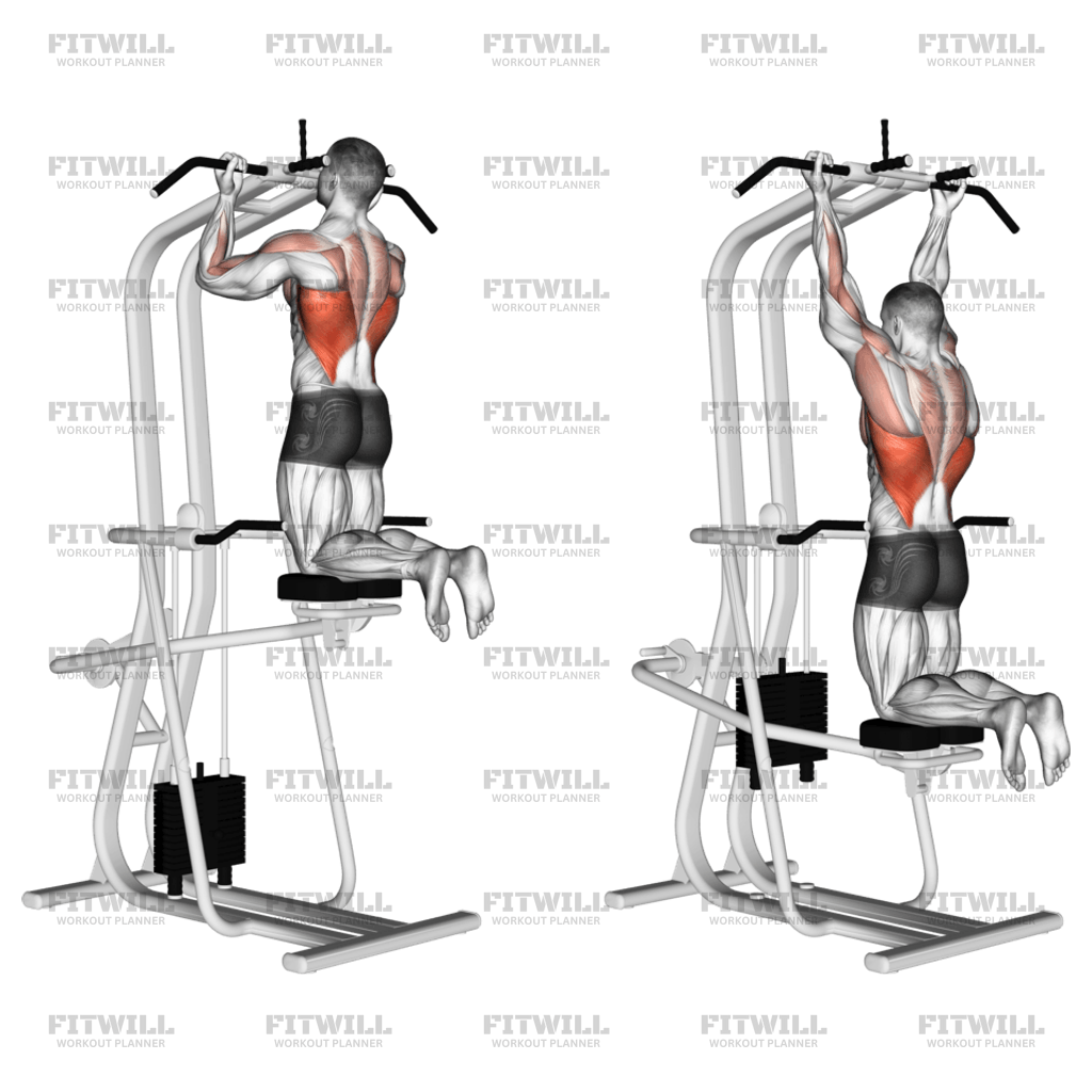 Lever Assisted Chin-Up: Exercise Guide, Video, Techniques, Benefits ...