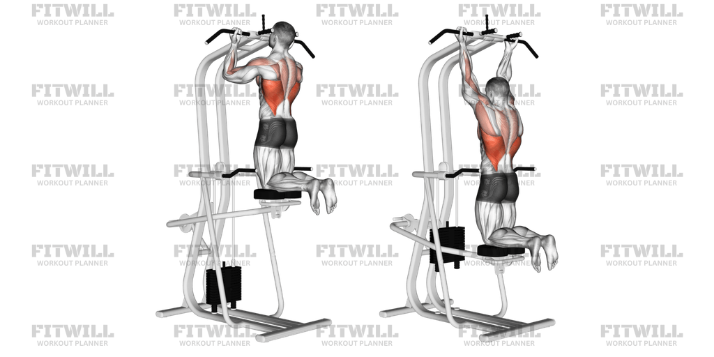 Lever Assisted Chin-Up: Exercise Guide, Video, Techniques, Benefits, How to, Muscles Worked ...