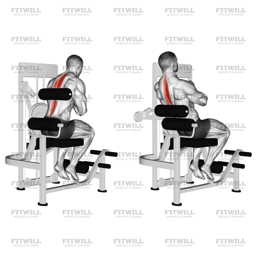 Lever Back Extension: Exercise Guide, Video, Techniques, Benefits, How ...