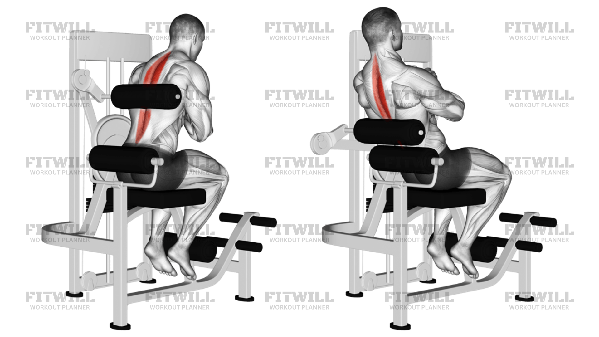 Lever Back Extension: Exercise Guide, Video, Techniques, Benefits, How ...