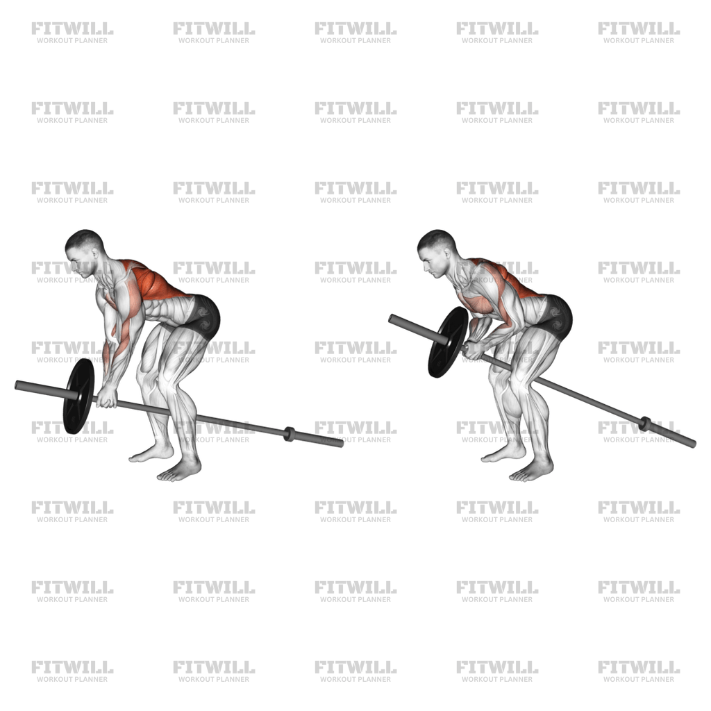 Landmine Lever Bent Over Row - Two Arms: Exercise Guide, Video ...