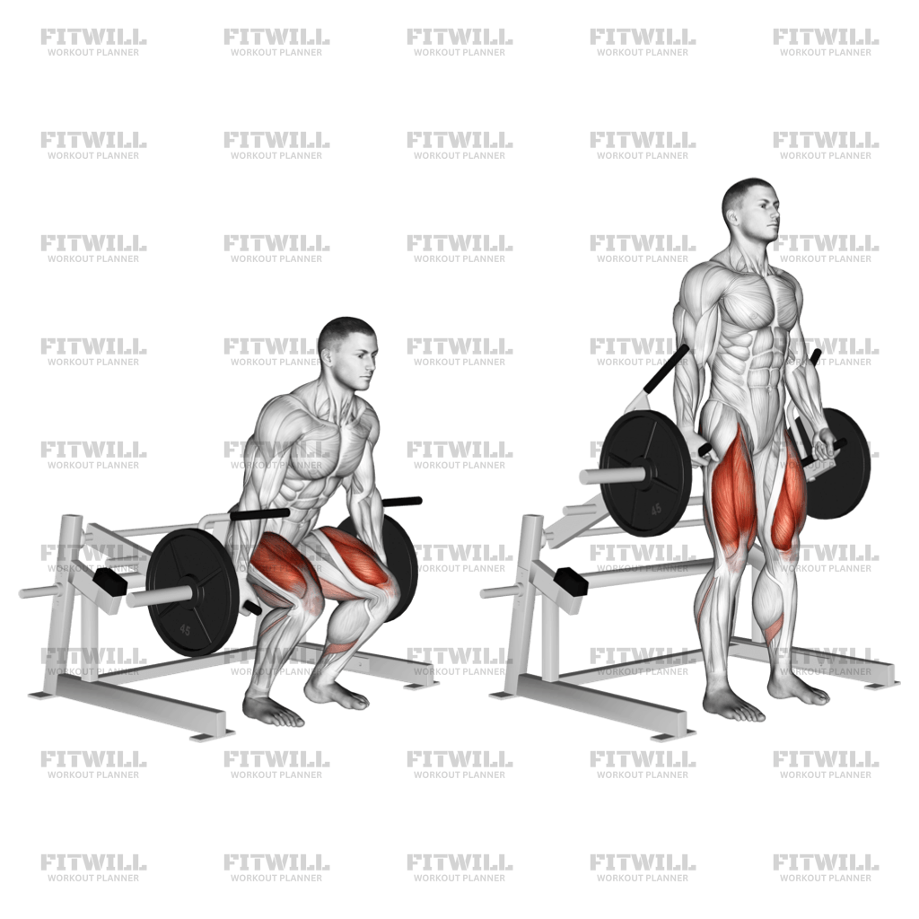 Lever Deadlift: Exercise Guide, Video, Techniques, Benefits, How to ...