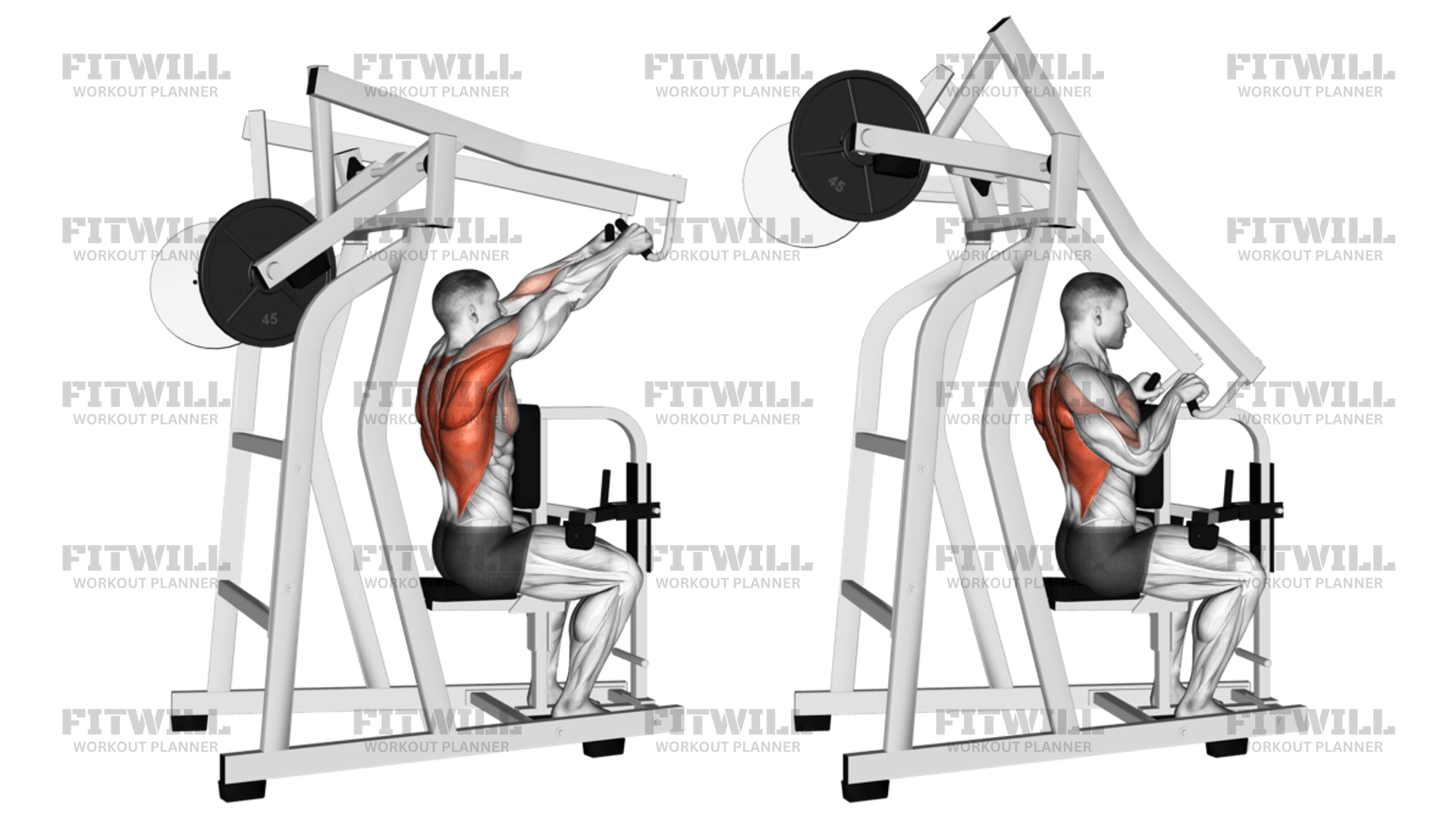 Remo Alto En Palanca (con Placas): Guía de Ejercicios, Video, Técnicas ...