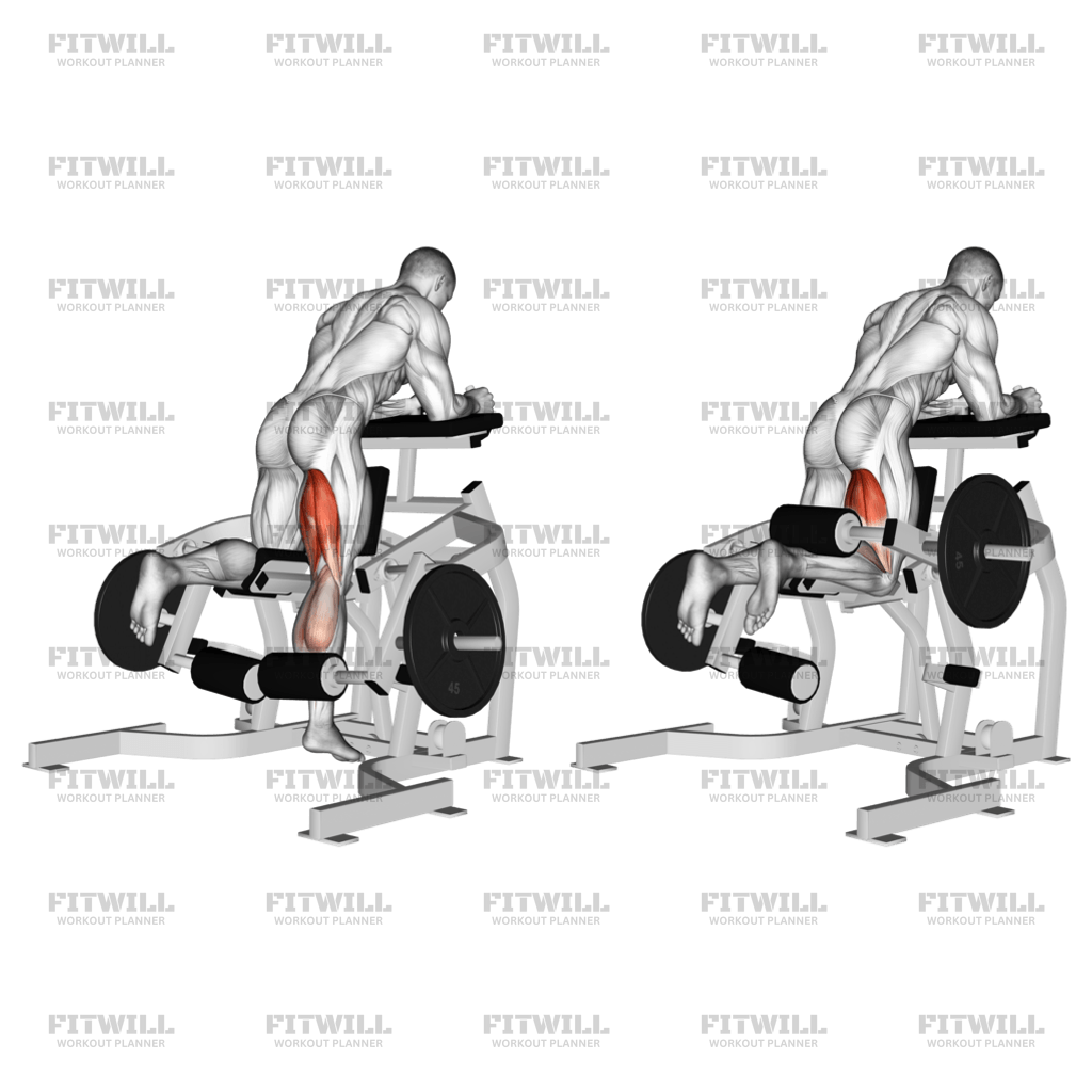 Lever Kneeling Leg Curl: Exercise Guide, Video, Techniques, Benefits ...