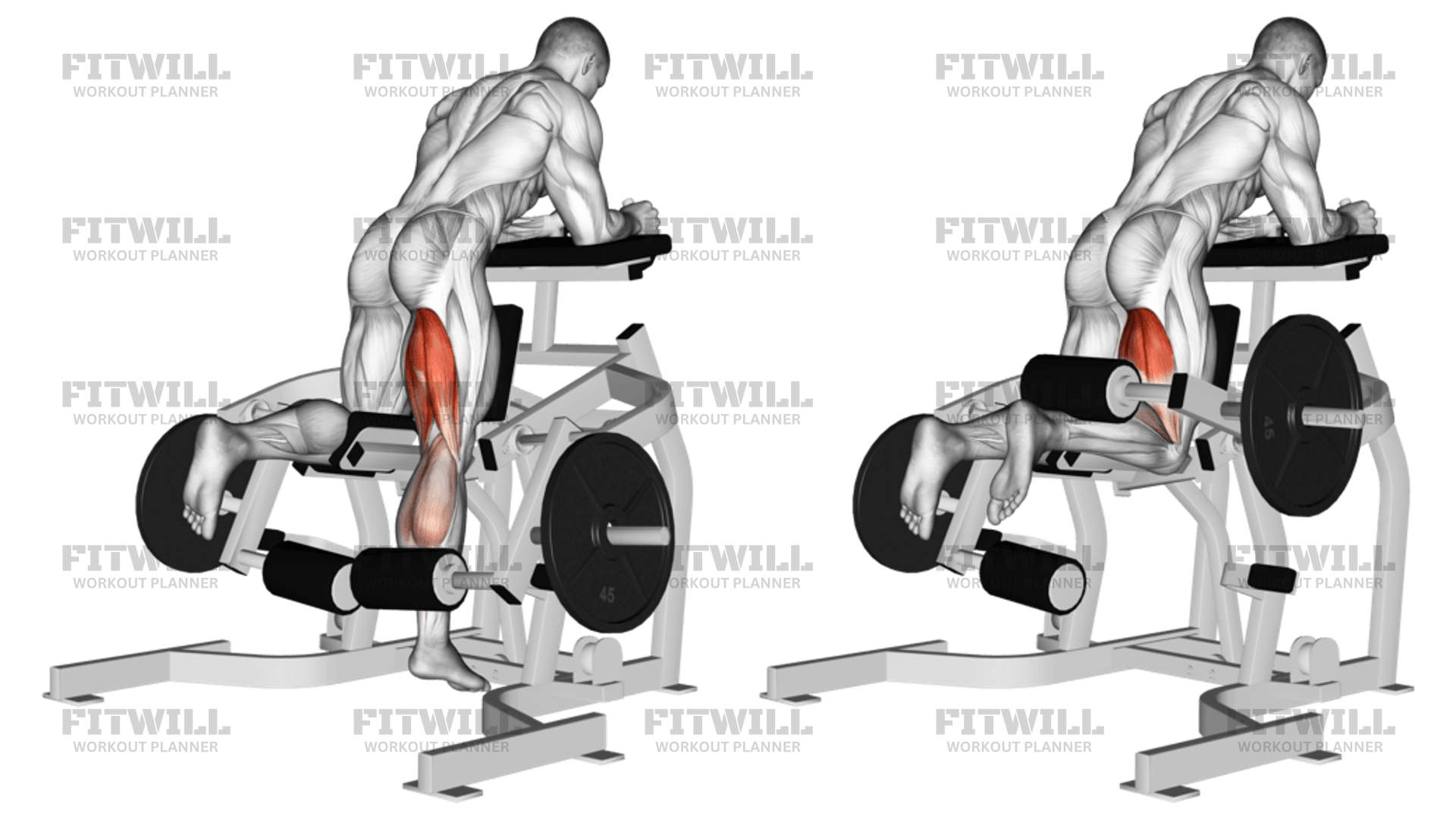 Lever Kneeling Leg Curl: Exercise Guide, Video, Techniques, Benefits ...