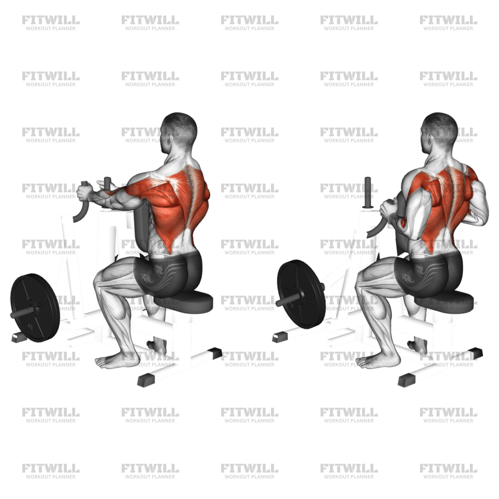 Lever Narrow Grip Seated Row (plate Loaded): Exercise Guide, Video ...