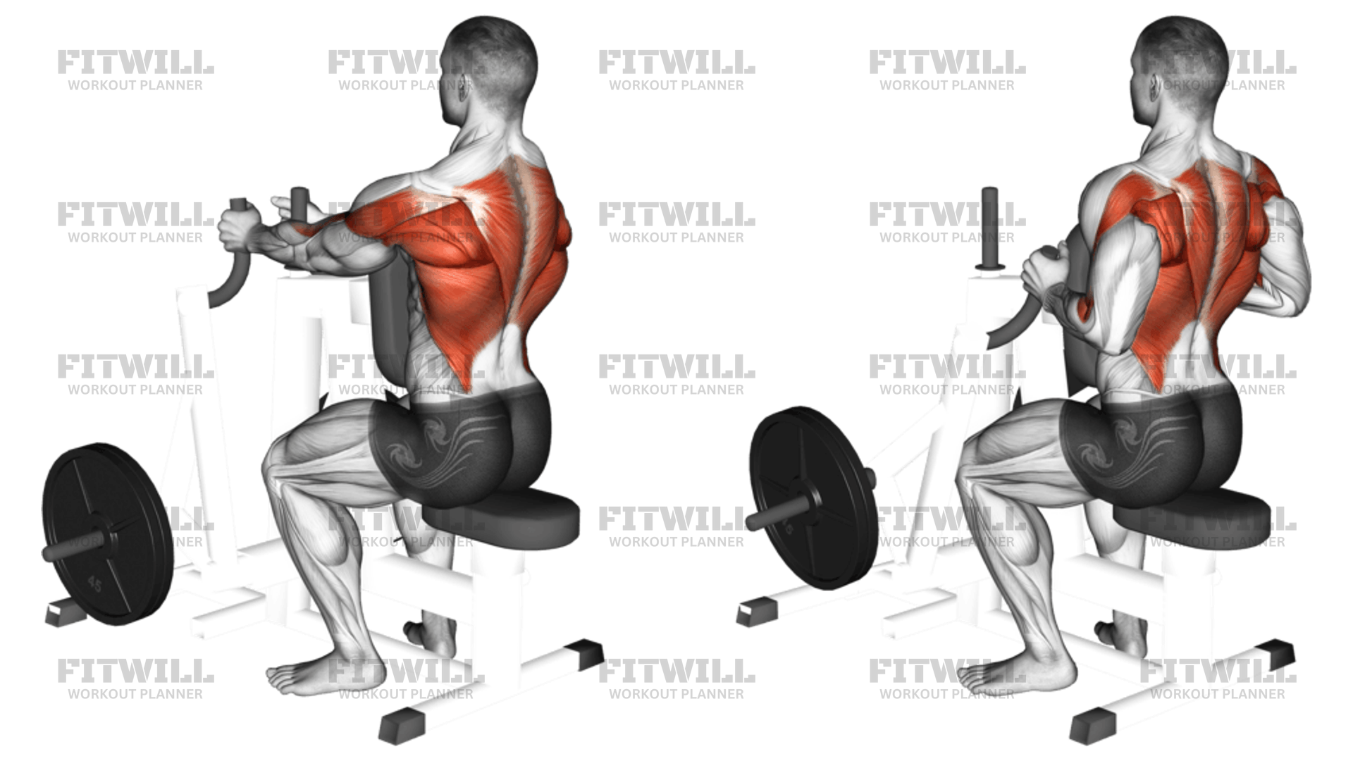 Lever Narrow Grip Seated Row (plate Loaded): Exercise Guide, Video ...
