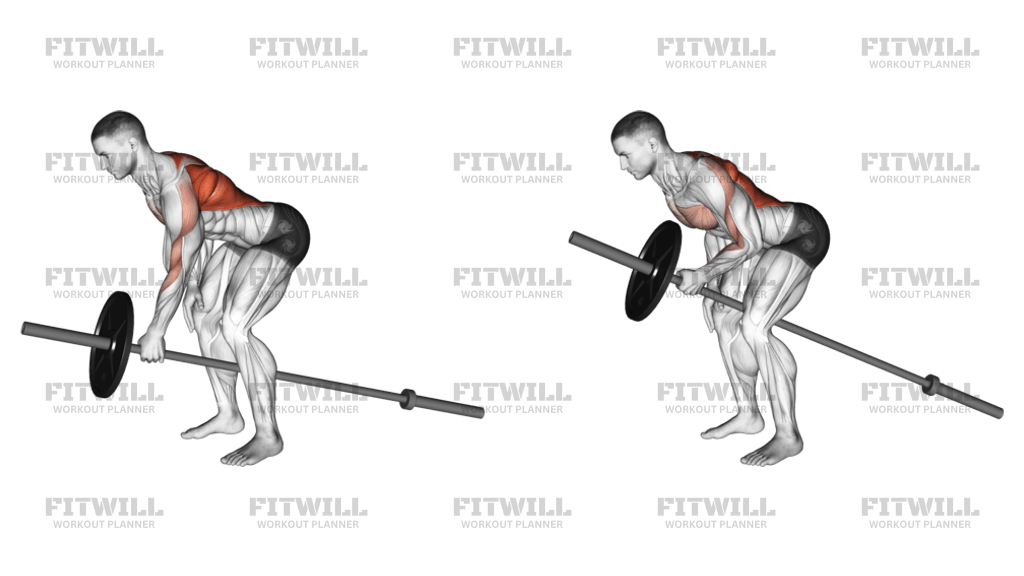 Lever One Arm Bent Over Row (plate Loaded): Exercise Guide, Techniques ...