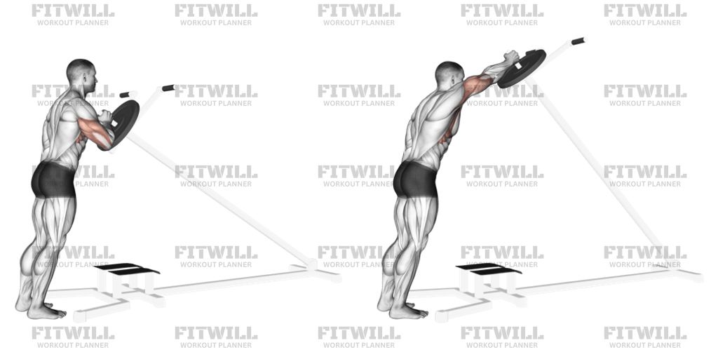 Lever One-Arm Shoulder Press Plate Loaded: Exercise Guide, Video ...