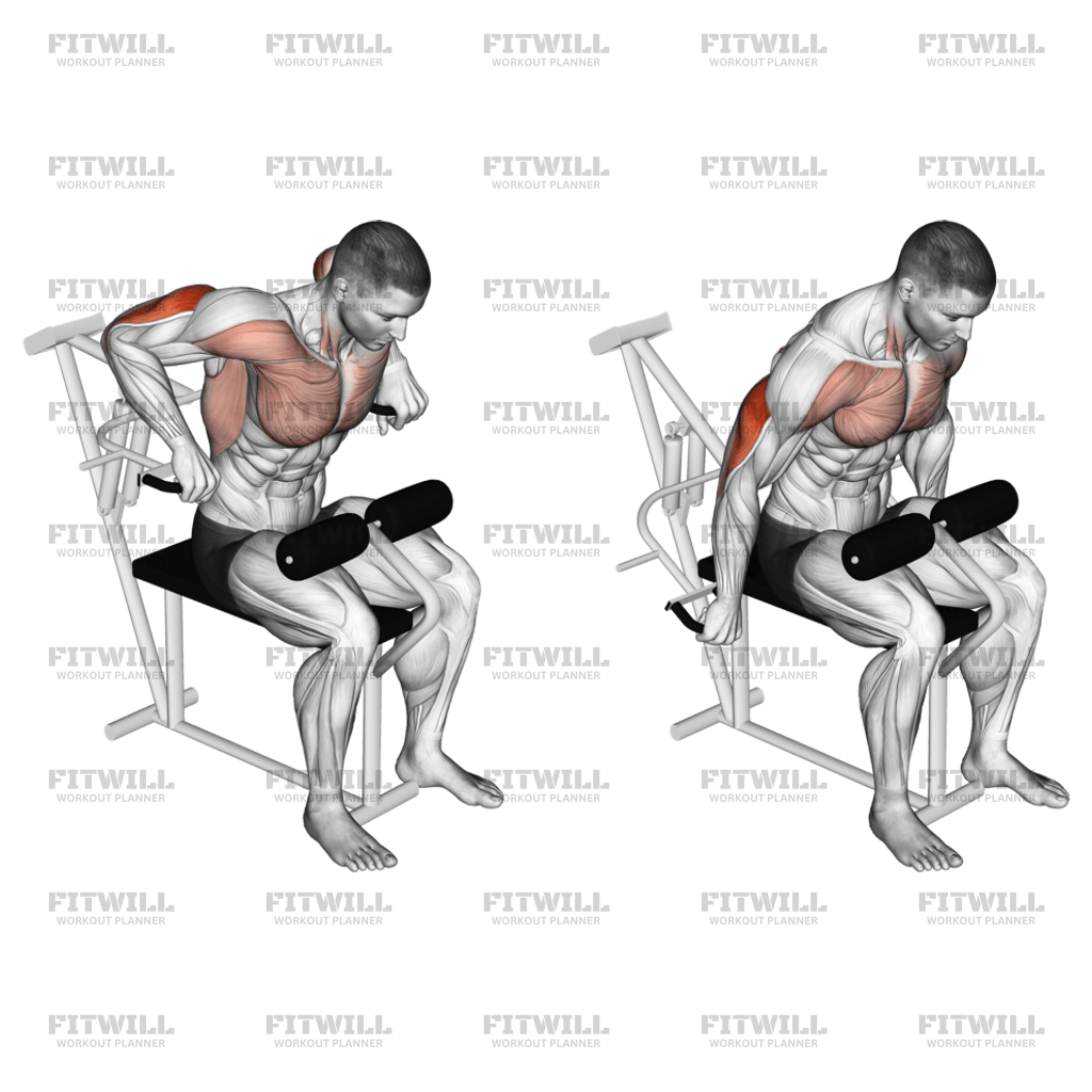 Lever Overhand Triceps Dip: Exercise Guide, Techniques, Benefits, How ...