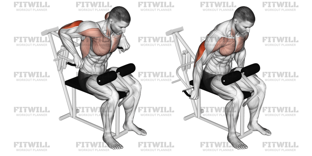 Fondos De Tríceps Con Palanca Y Agarre Prono: Guía de Ejercicios ...