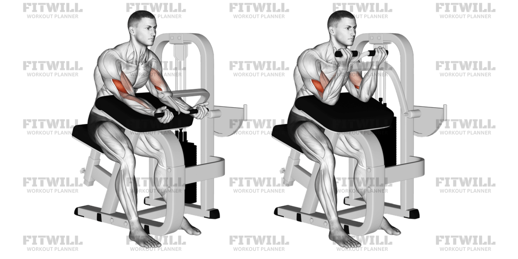 Ultimate Arm Strength Workout: Biceps & Triceps Pump | Workout Library ...