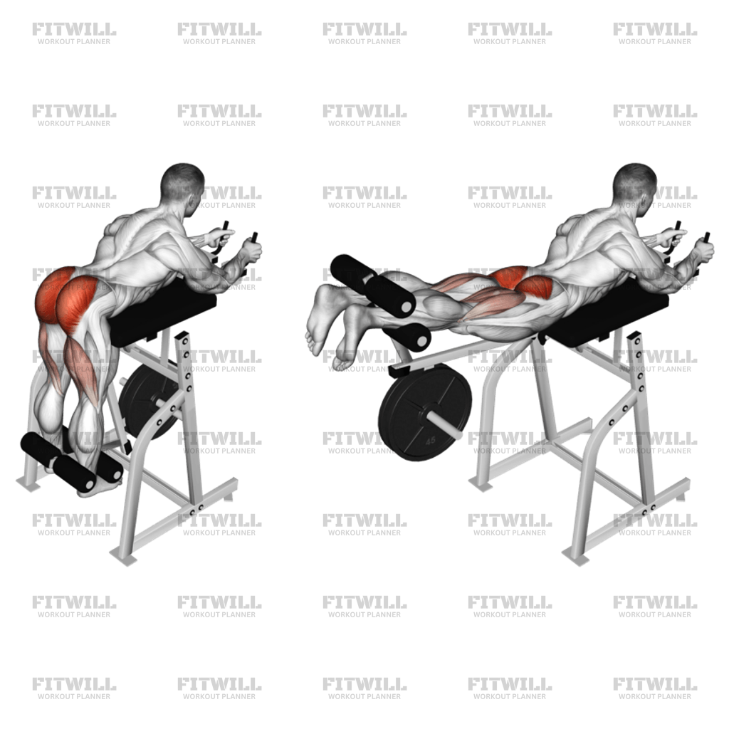 Lever Reverse Hyperextension (plate Loaded): Exercise Guide, Video ...