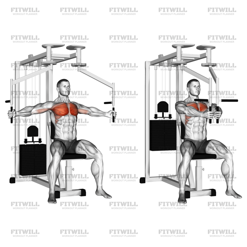 Lever Seated Fly: Exercise Guide, Video, Techniques, Benefits, How to ...