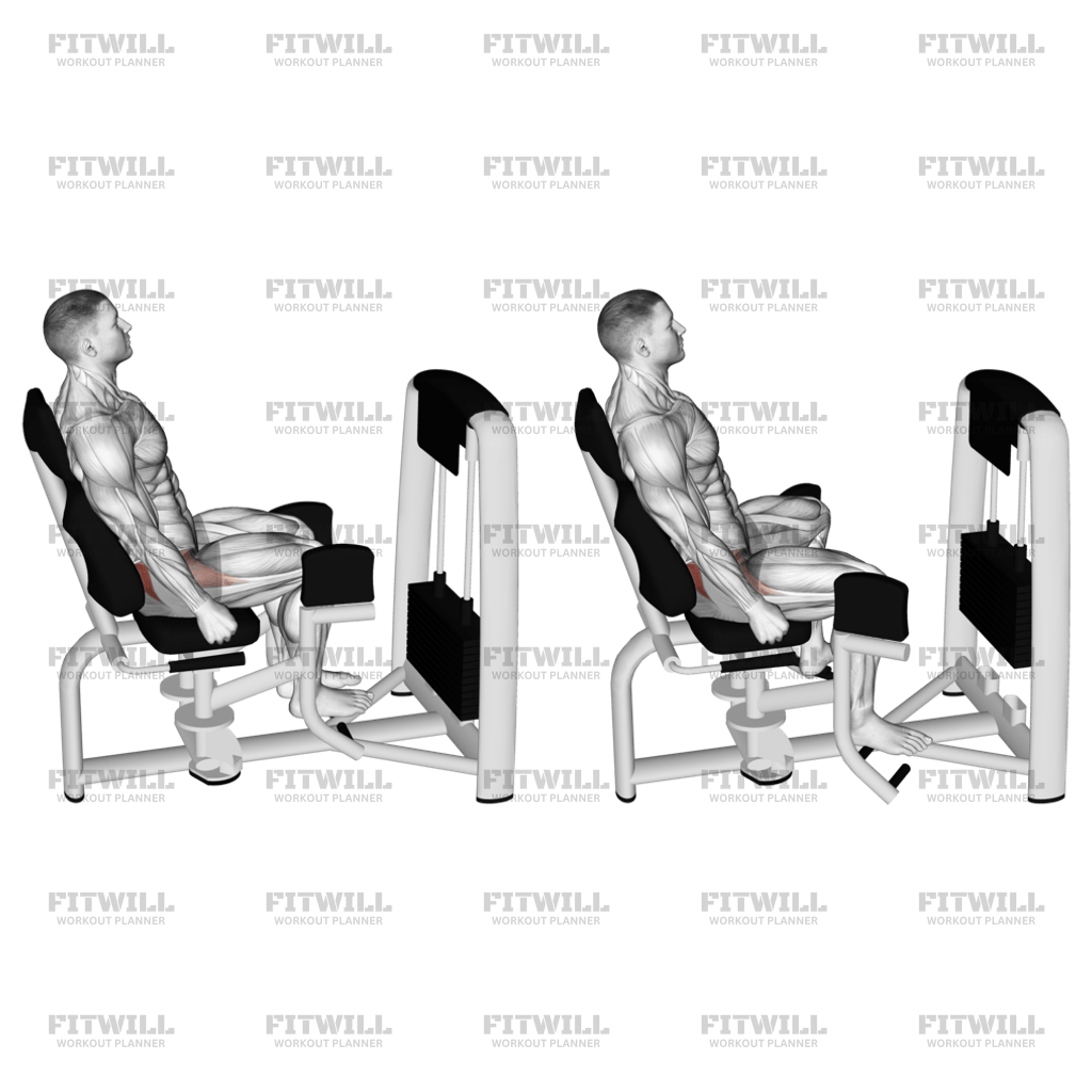 Abducción De Cadera Sentado En Máquina De Palanca: Guía de Ejercicios ...