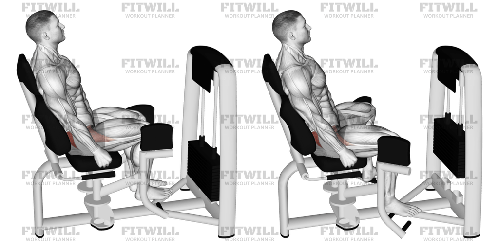 Lever Seated Hip Abduction: Exercise Guide, Video, Techniques, Benefits ...
