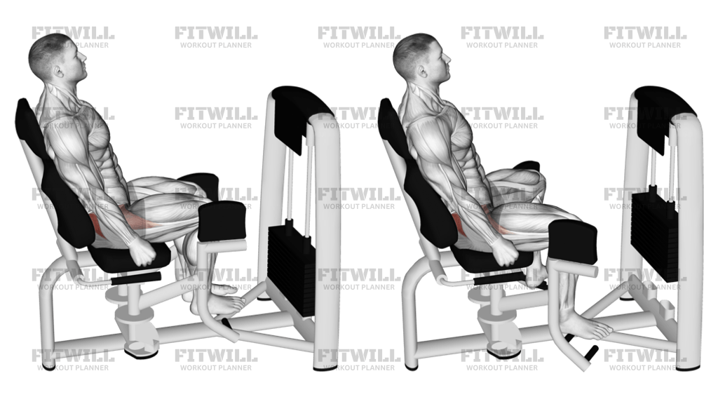 Abducción De Cadera Sentado En Máquina De Palanca: Guía de Ejercicios ...