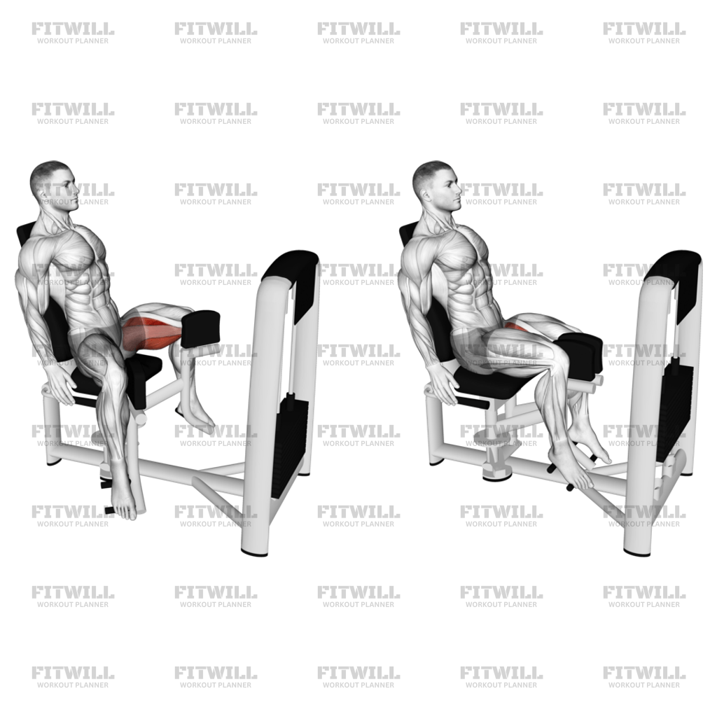 Lever Seated Hip Adduction: Exercise Guide, Video, Techniques, Benefits ...