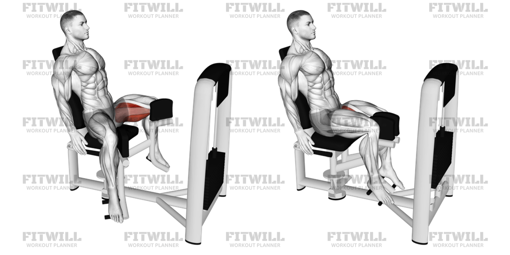 Lever Seated Hip Adduction: Exercise Guide, Video, Techniques, Benefits ...