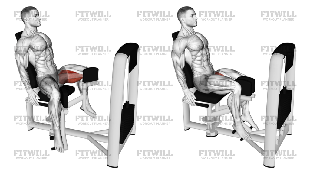 Lever Seated Hip Adduction: Exercise Guide, Video, Techniques, Benefits ...