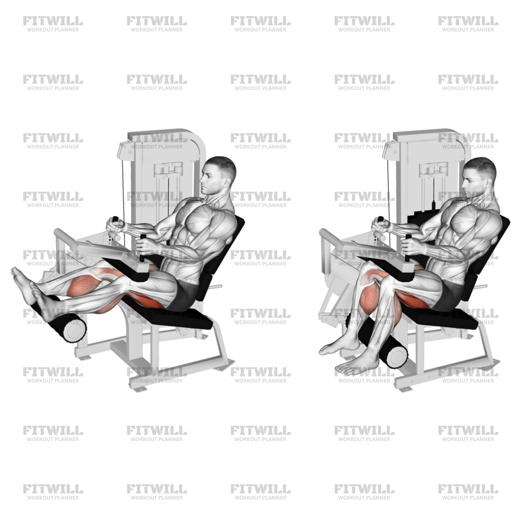 Lever Seated Leg Curl: Exercise Guide, Video, Techniques, Benefits, How ...